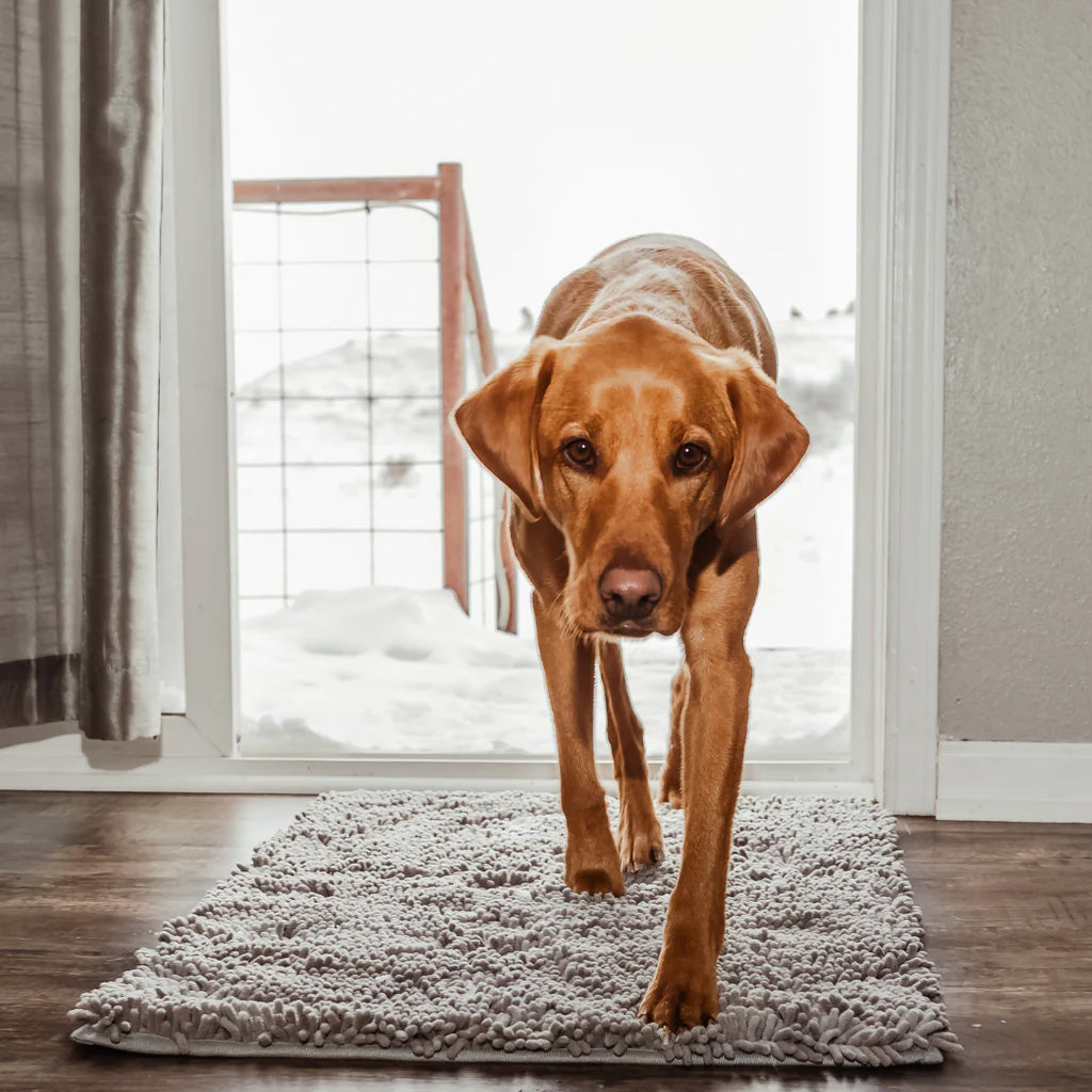 Clean Paw Mat | Honden Deur Schoonloop Mat (1+1 GRATIS) - Visconte ...